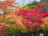 소요산 동두천여행 가볼만한곳 소담골 동두천자연휴양림 놀자숲 숲체험 서울근교 1박2일 가을국내여행 네이버 블로그